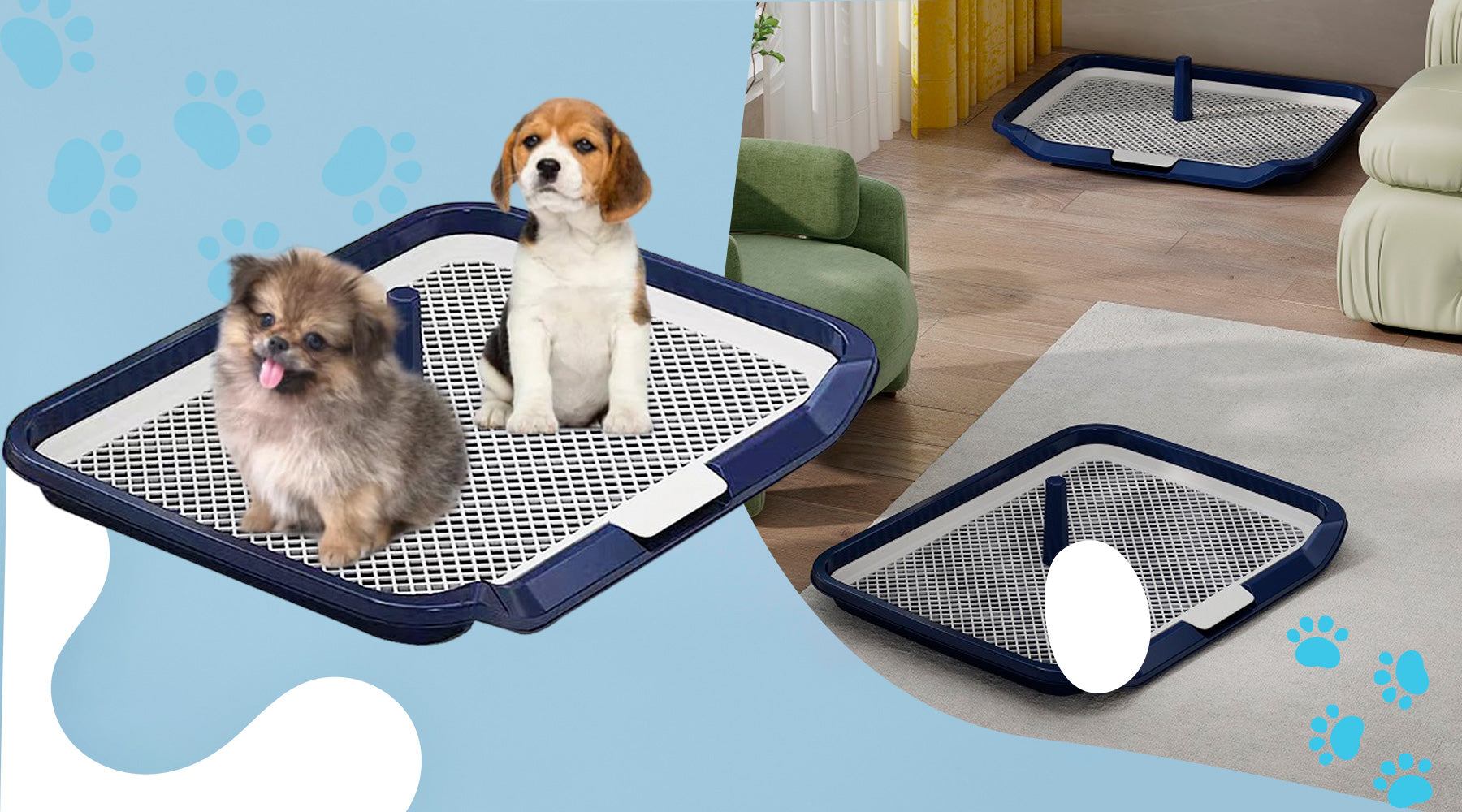 How to Make Potty Training Easy for Dogs?– Qpets