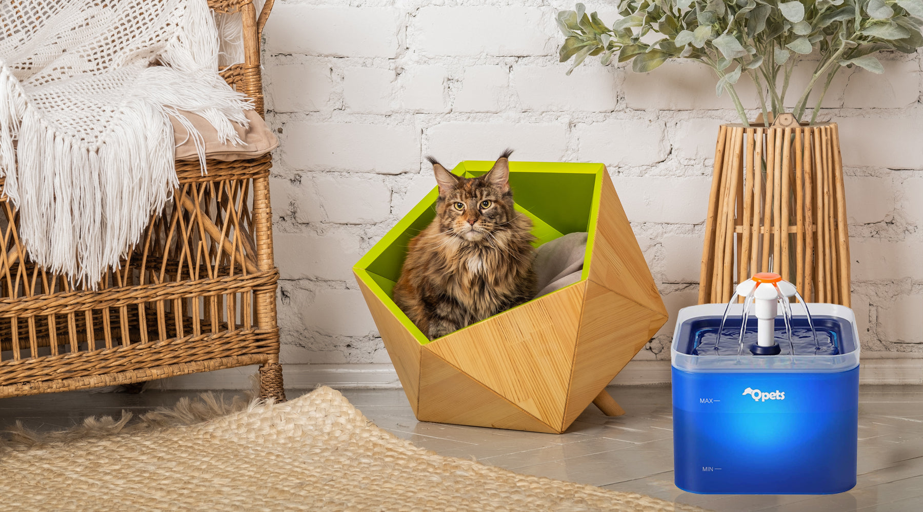 Qpets® Cat Water Fountain with LED Light