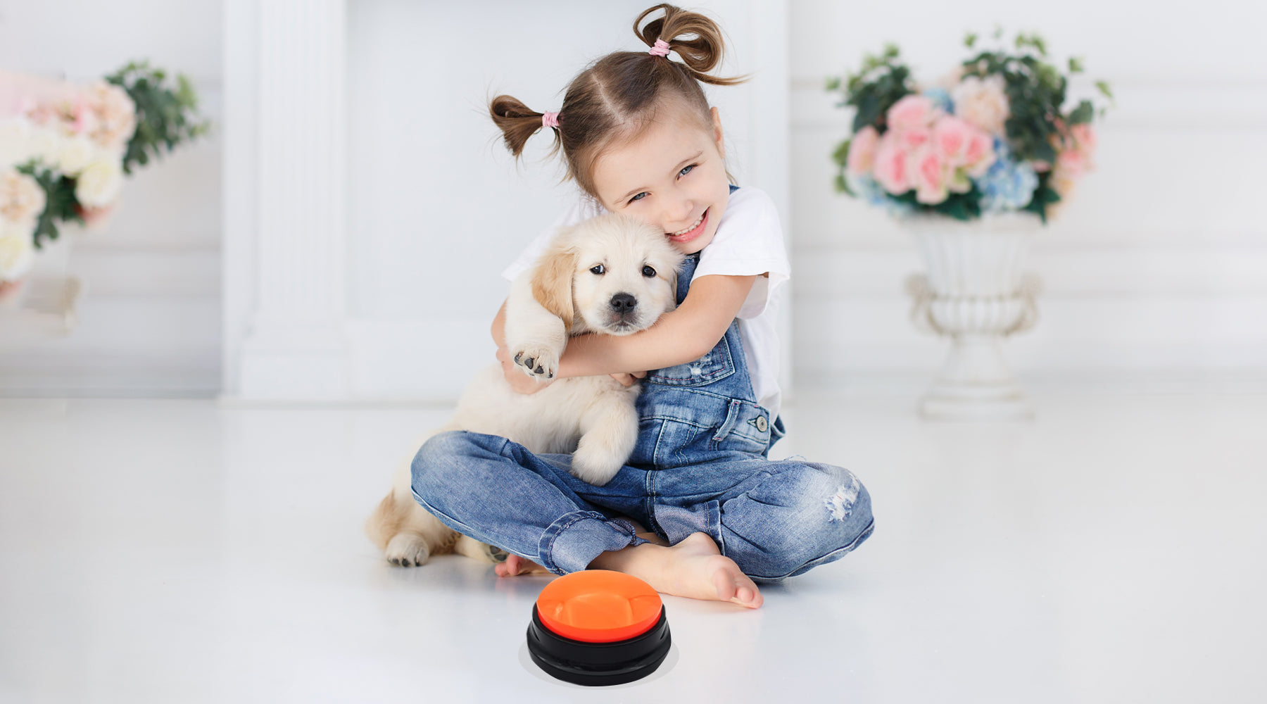 Qpets® Interactive Dog Toys