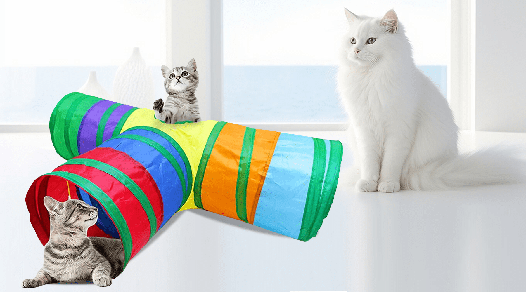 Unleash Fun with 3 Way Rainbow Tunnel Cat Toy– Qpets