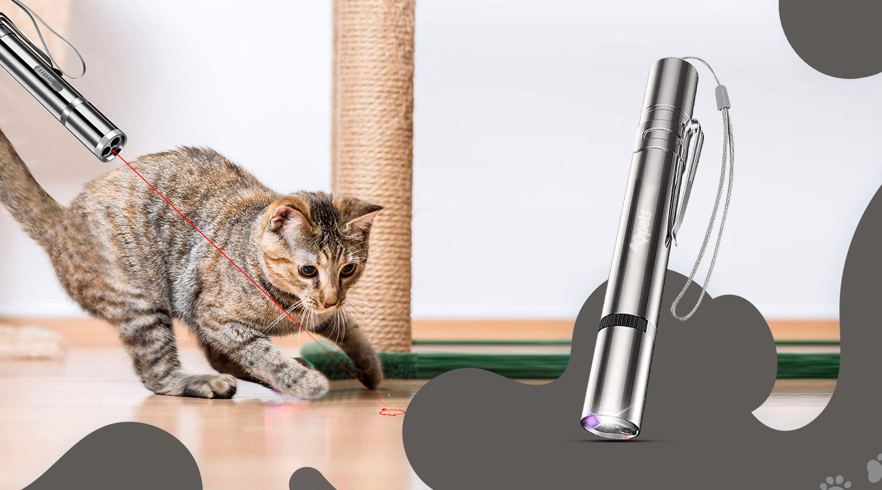Enhance Playtime with Light and Patterns– Qpets