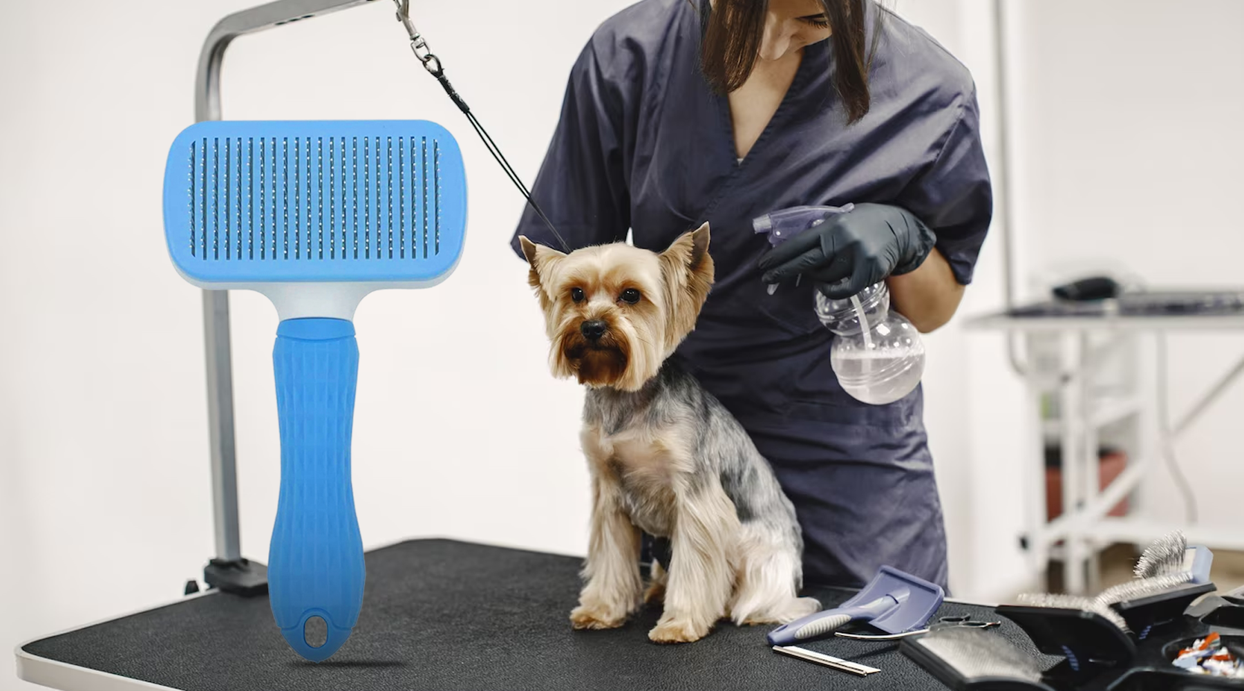 How To Make Grooming a Positive Experience for My Dog?– Qpets