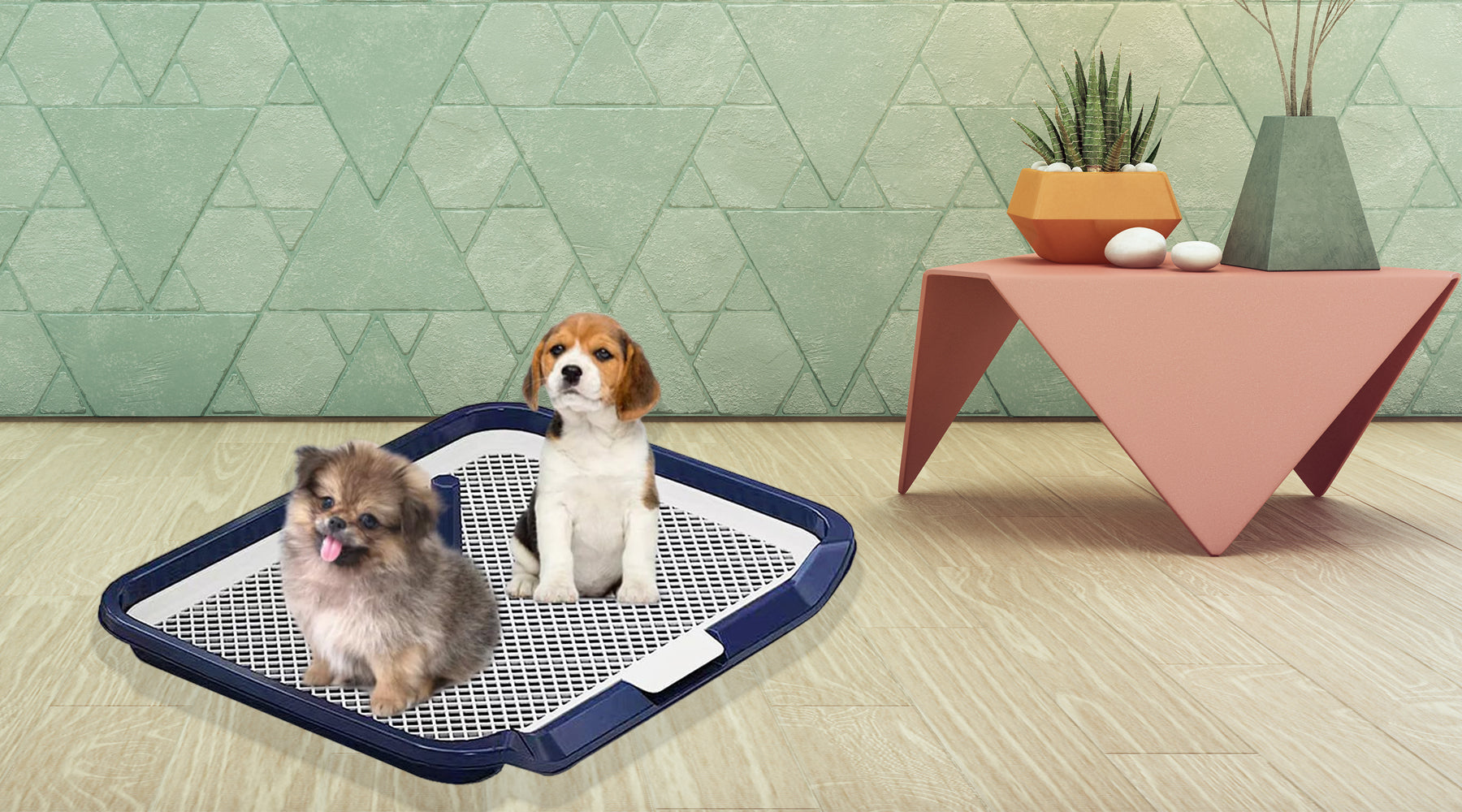 From Mess to Fresh in Seconds with the Dog Poop Tray– Qpets