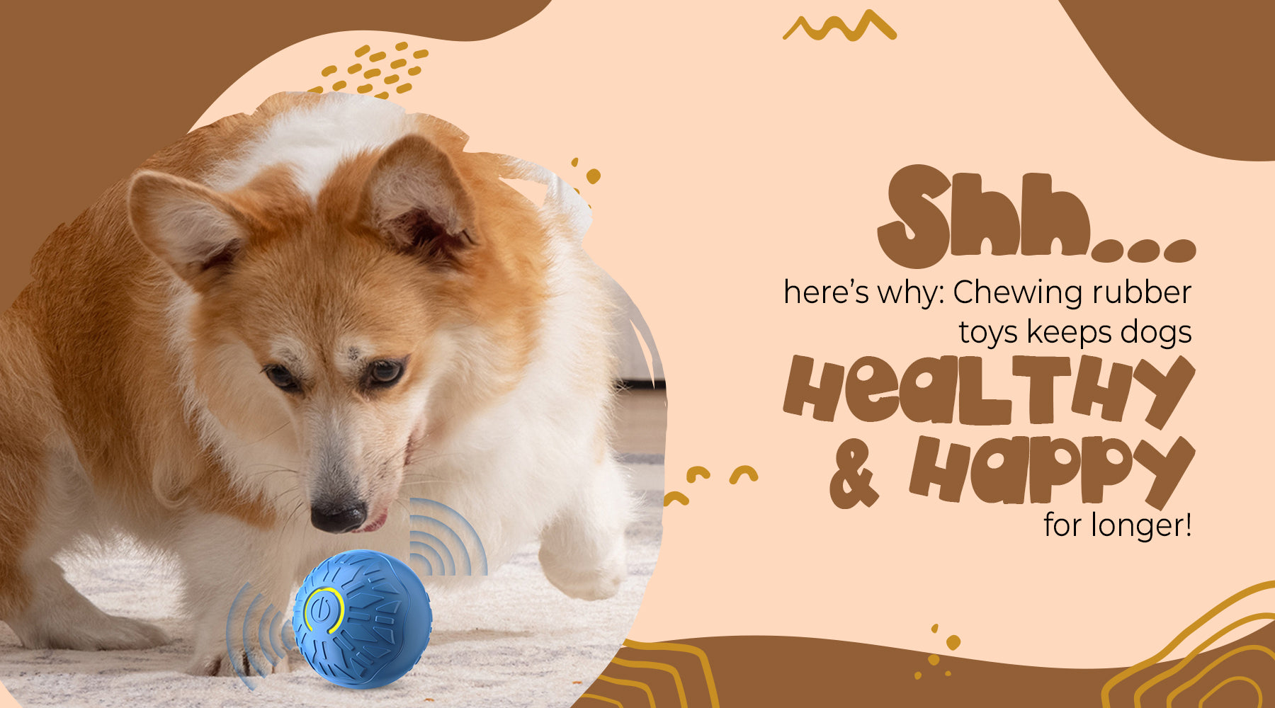 Shh… Here’s Why: Chewing Rubber Toys Keeps Dogs HEALTHY & HAPPY for Lo– Qpets
