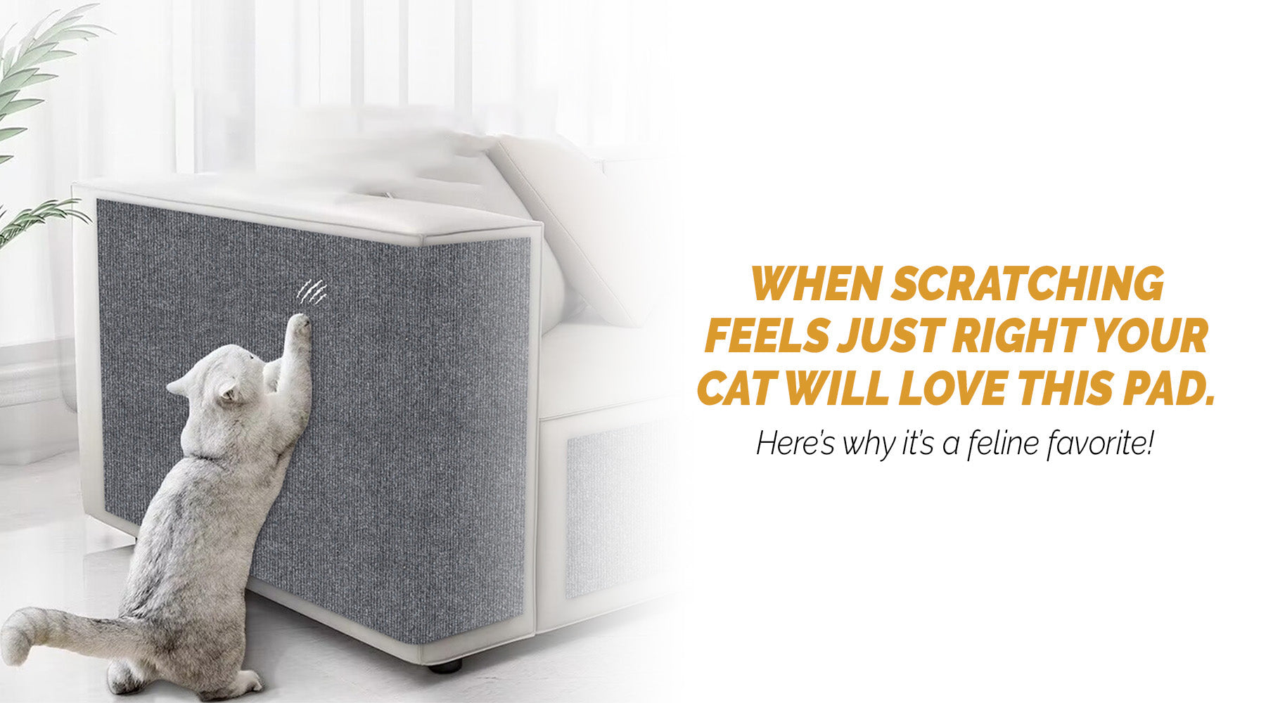 When Scratching Feels Just Right, Your Cat Will Love This Pad. Here’s – Qpets