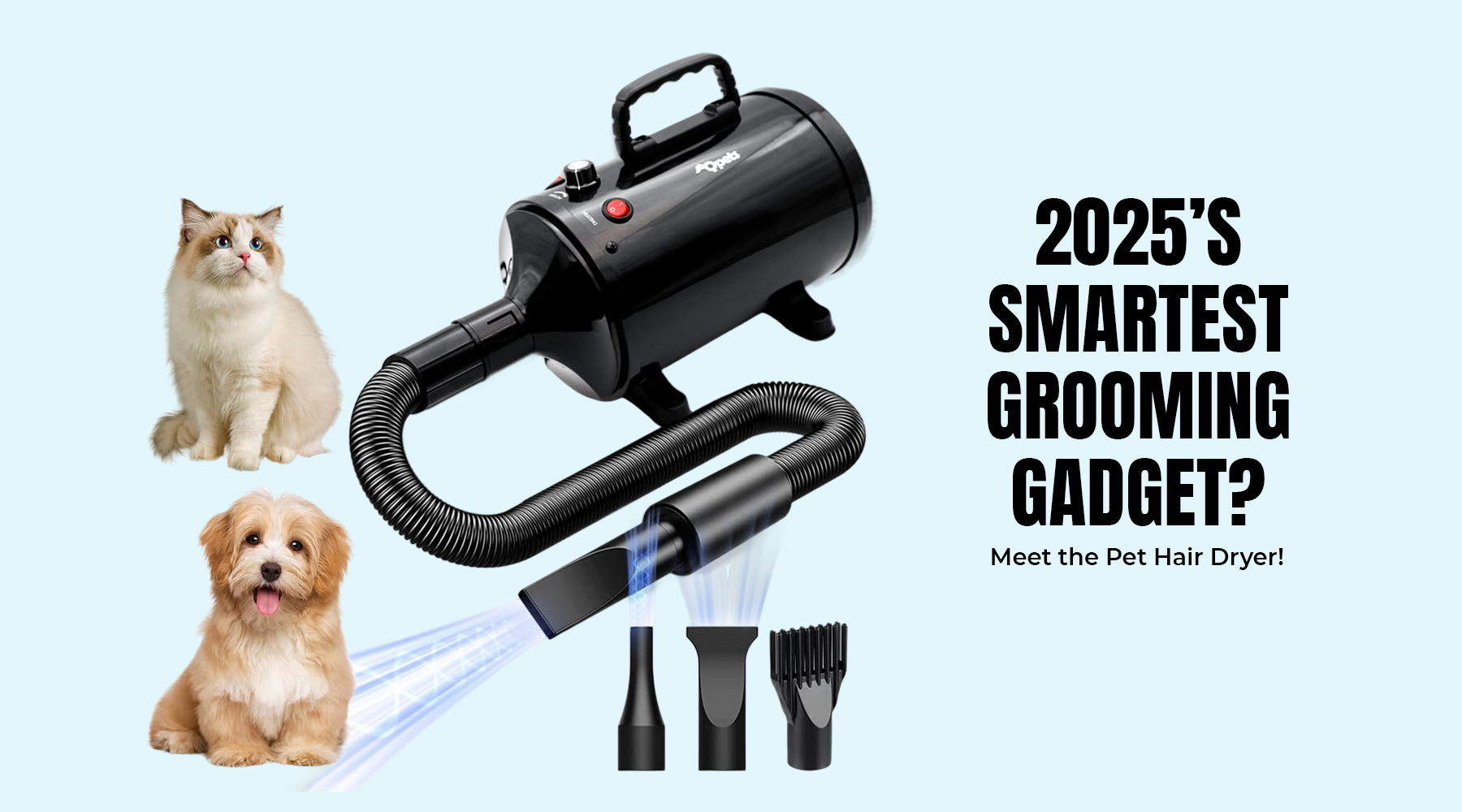 2025’s Smartest Grooming Gadget? Meet the Pet Hair Dryer!– Qpets