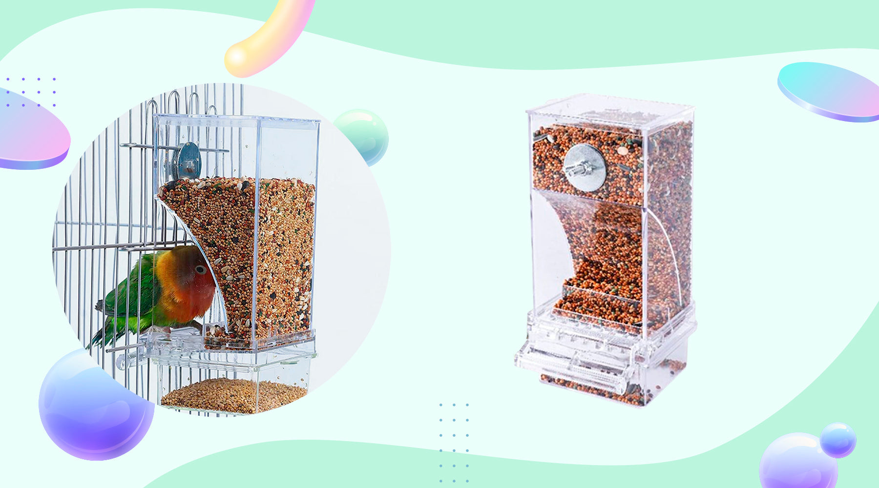 What You Need to Know About Bird Feeders?– Qpets