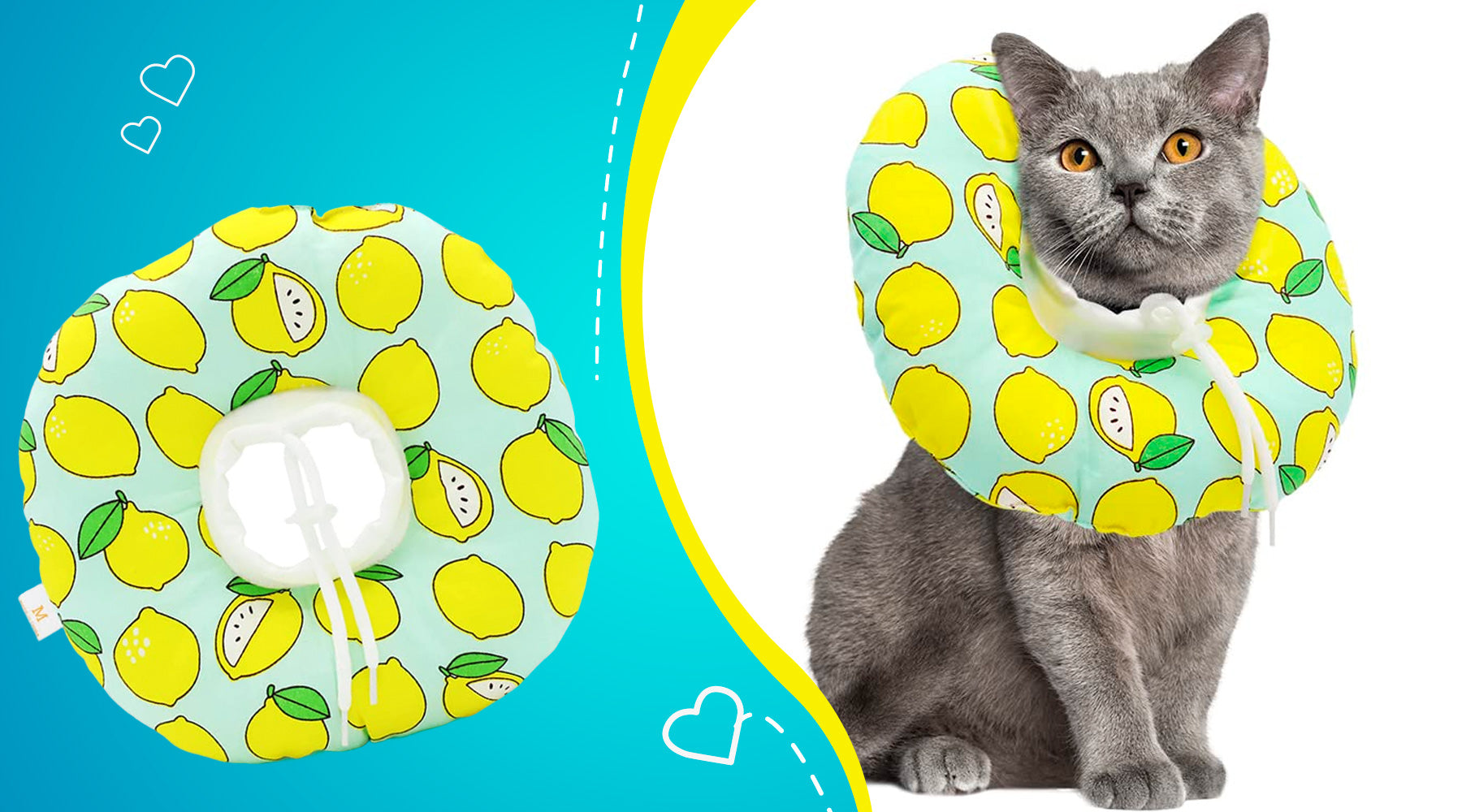 Why Your Cat Deserves a Comfy Recovery Collar?– Qpets
