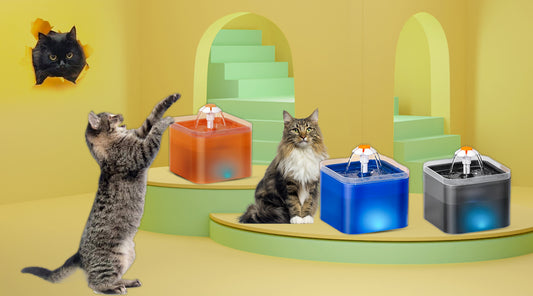 The Ultimate Convenience: 3L Automatic Dog Cat Feeder – Qpets