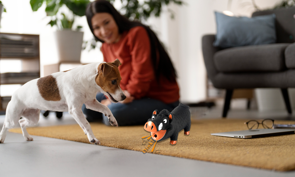 Qpets® 2 in 1 Automatic Food Feeder and Water Dispenser