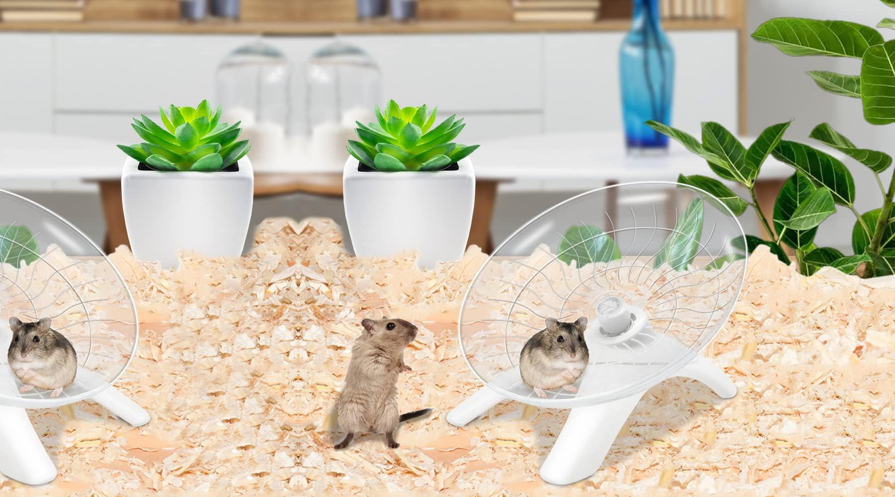 The Unseen Exercise Revolution: The Hamster Running Wheel– Qpets