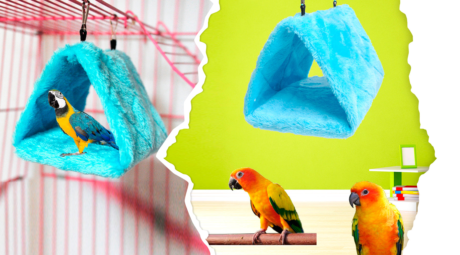 Dive into the Luxury of Our Winter Bird Nest– Qpets
