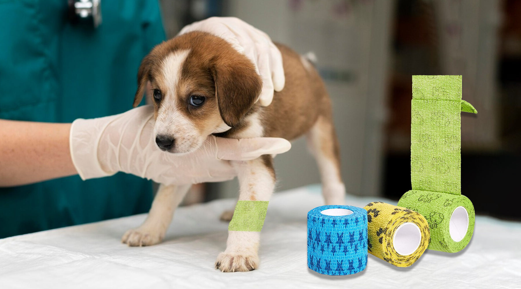 6 Rolls Crepe Bandage: A Versatile Tool for First Aid and Beyond– Qpets