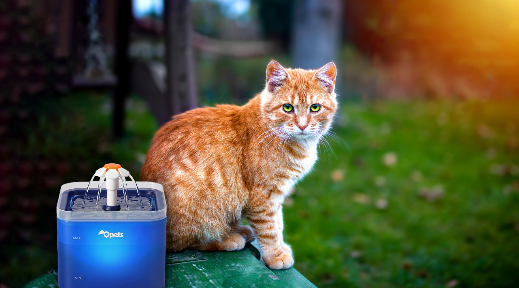 Experience A Symphony of Hydration with Cat Water Fountain– Qpets