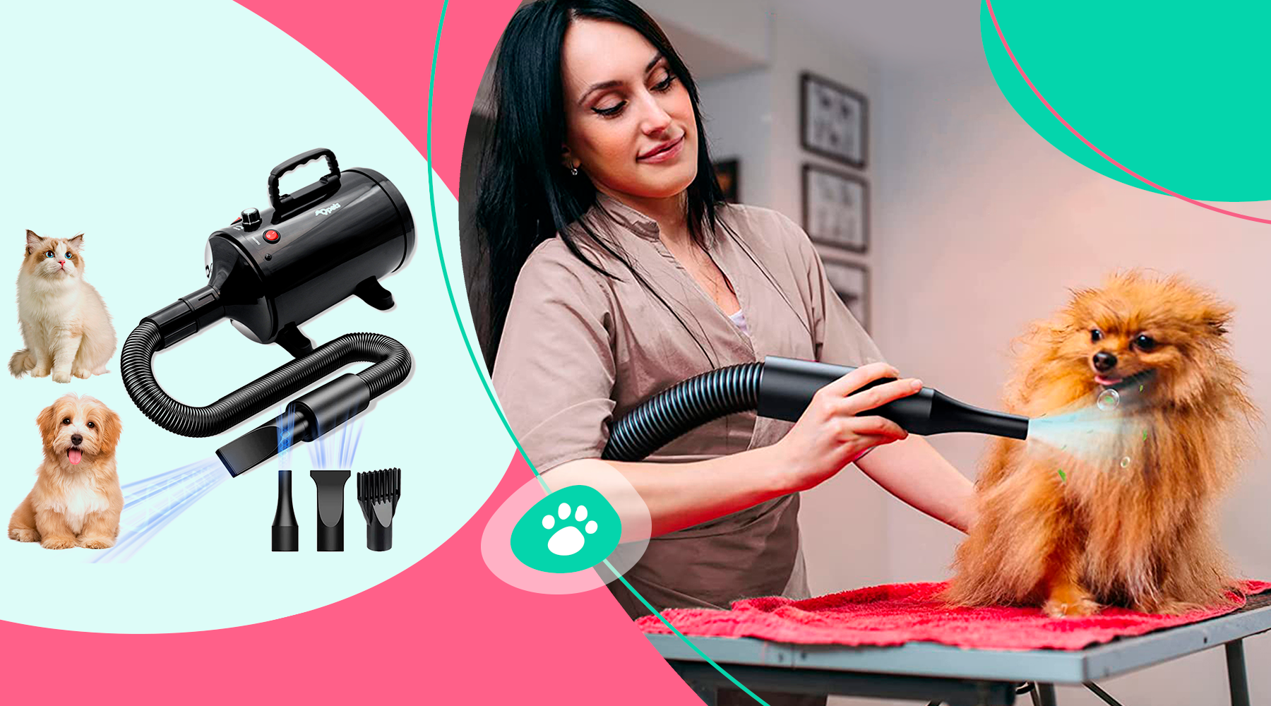 Make Bath Time a Breeze with Dog Hair Dryer– Qpets