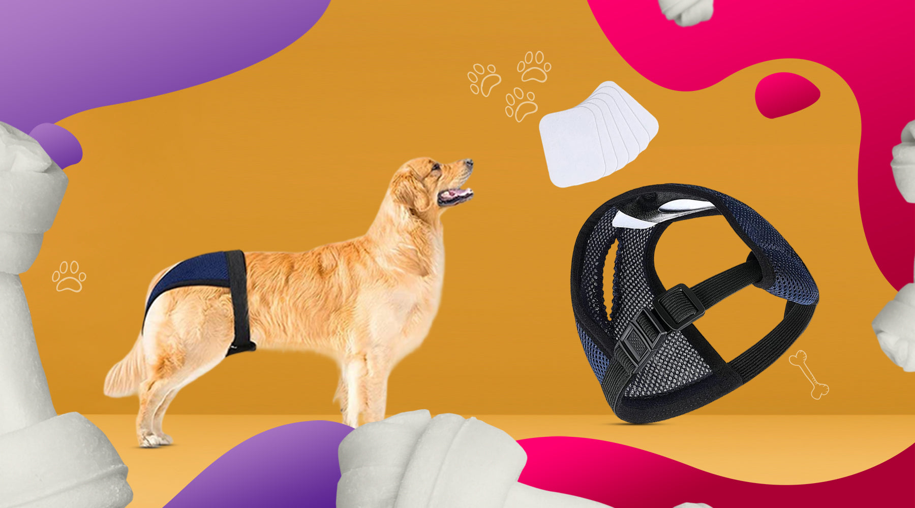 What Every Pet Owner Should Know– Qpets