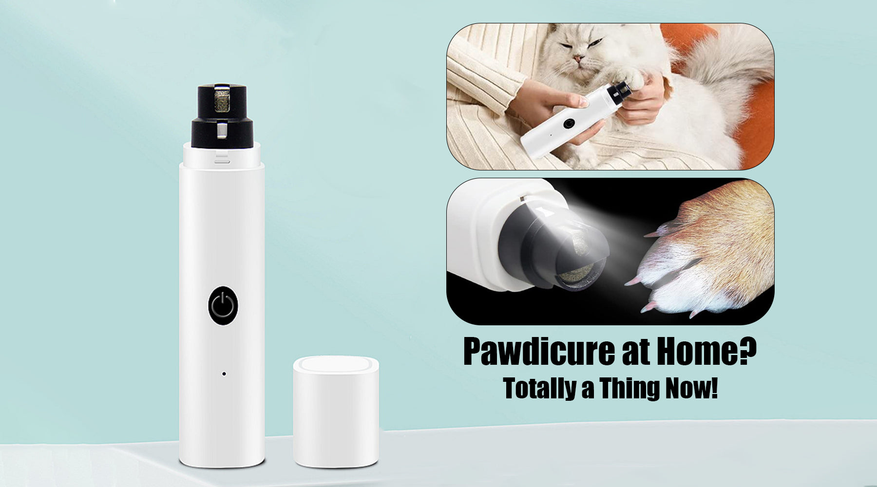 Pawdicure at Home? Totally a Thing Now!– Qpets