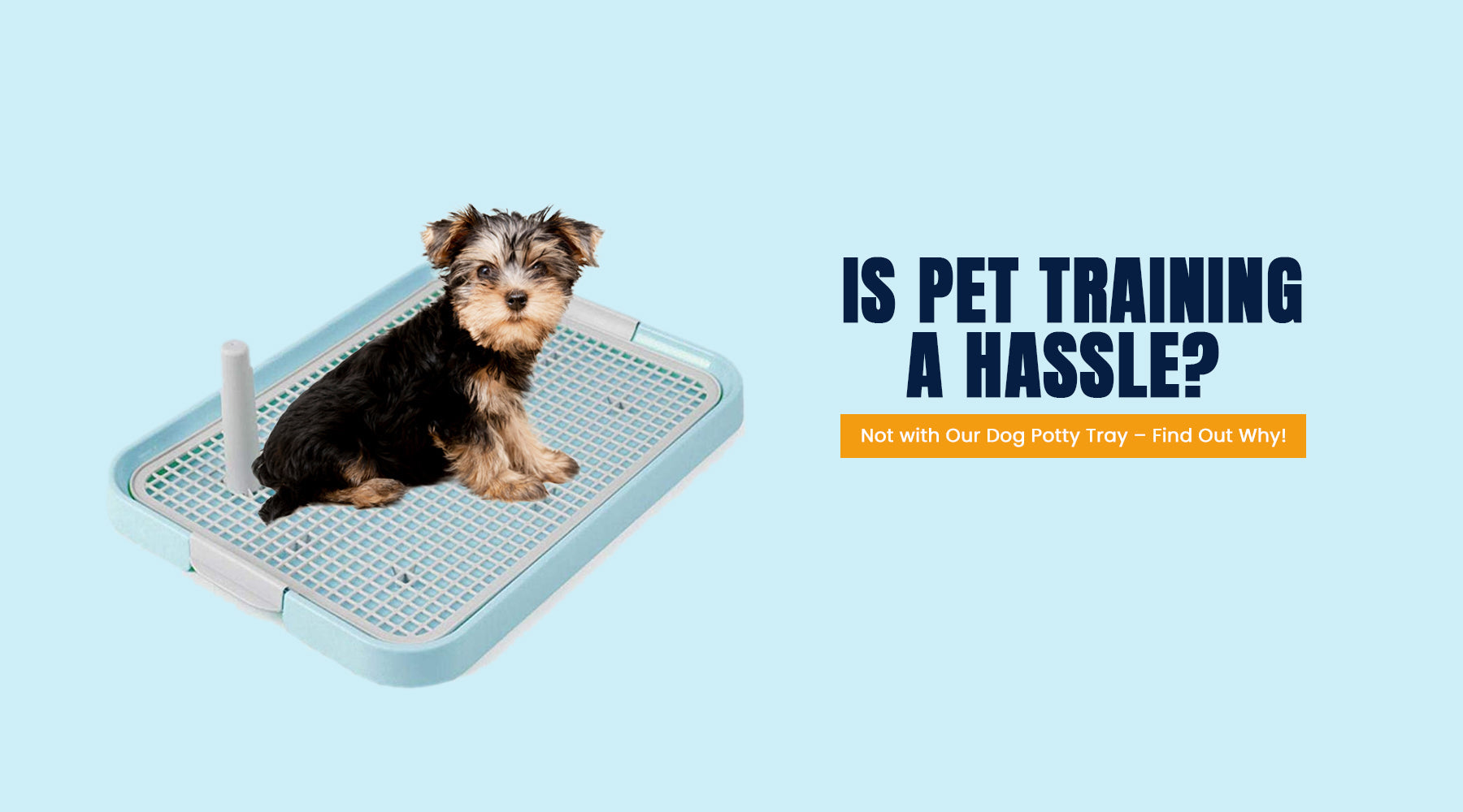 Is Pet Training a Pain? No with Our Dog Potty Tray – Learn Why!– Qpets