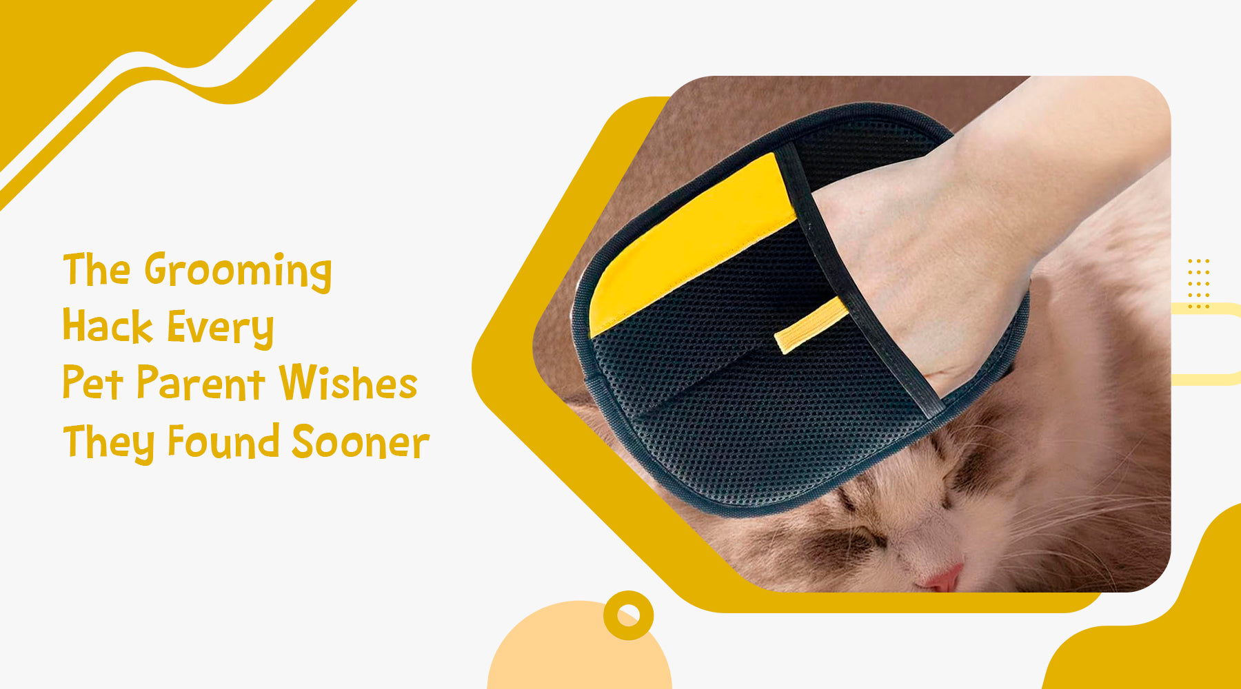 The Grooming Hack Every Pet Parent Wishes They Found Sooner– Qpets