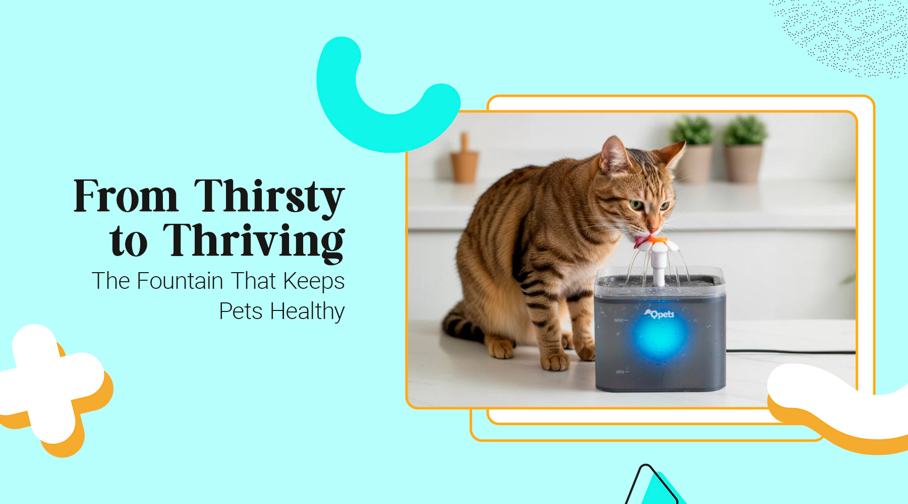 From Thirsty to Thriving: The Fountain That Keeps Pets Healthy– Qpets