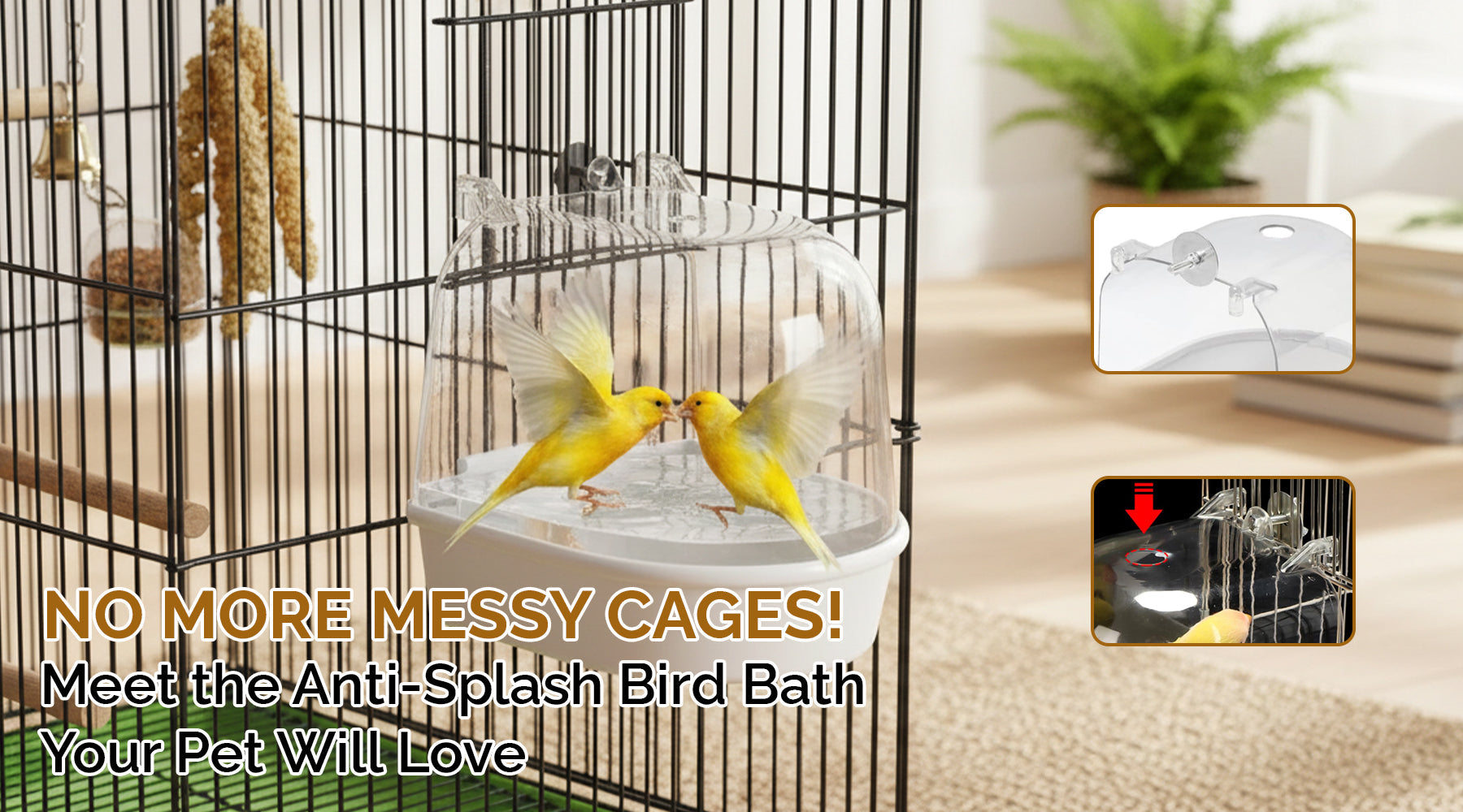 No More Messy Cages! Meet the Anti-Splash Bird Bath Your Pet Will Love ...