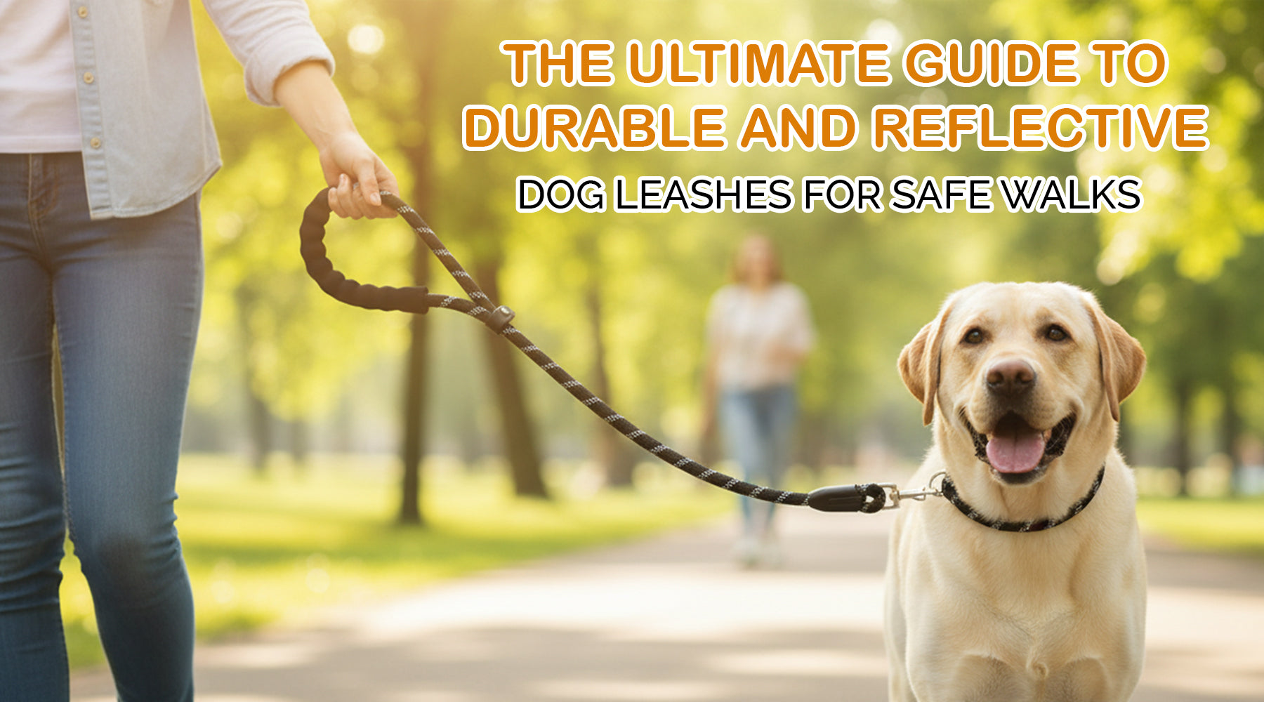 The Ultimate Guide to Durable and Reflective Dog Leashes for Safe Walk ...
