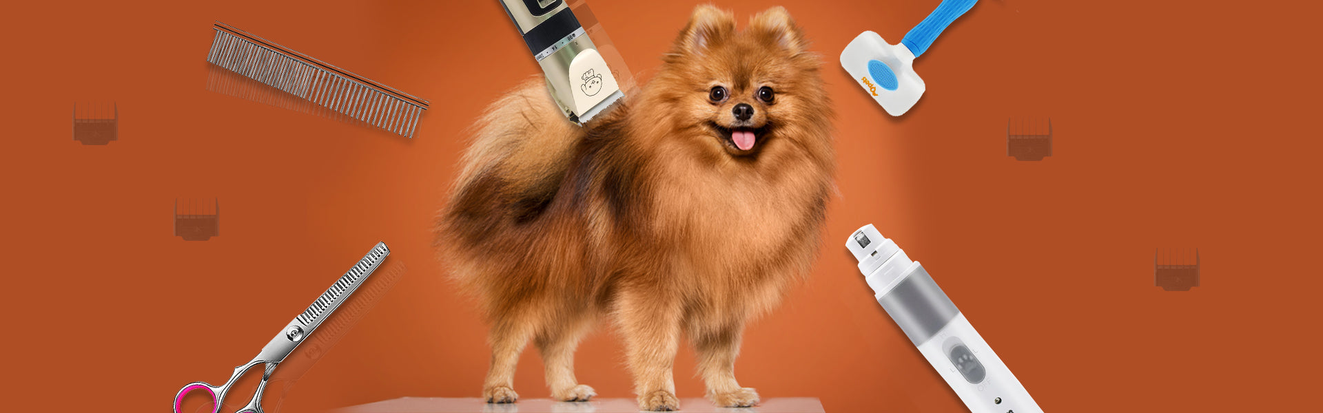 Dog Grooming– Qpets