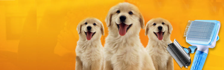 Qpets