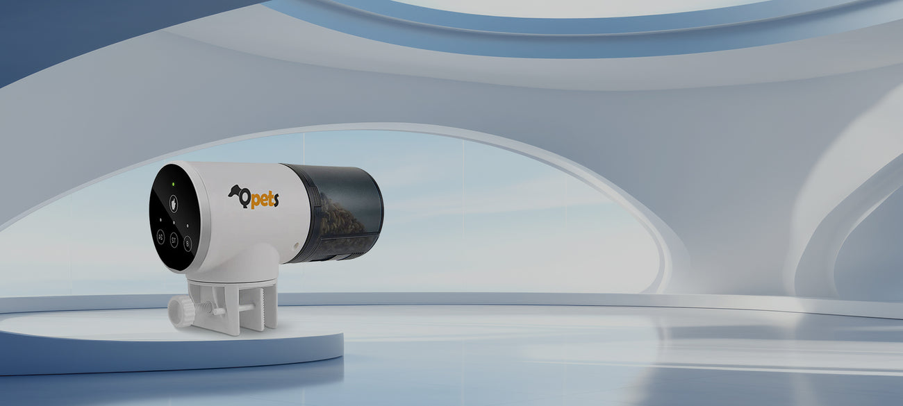 Modern Pet Care Essentials Every Pet Owner Needs Right Now– Qpets