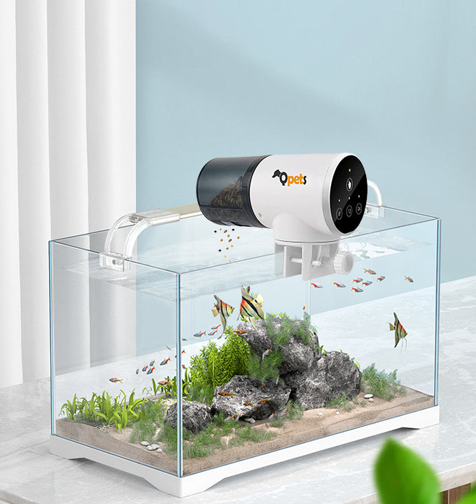 Modern Pet Care Essentials Every Pet Owner Needs Right Now– Qpets