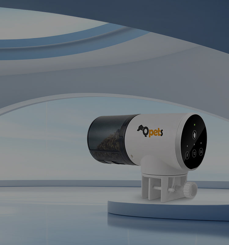 Modern Pet Care Essentials Every Pet Owner Needs Right Now– Qpets