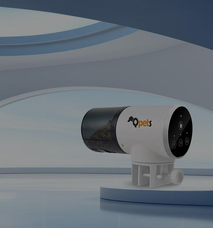 Modern Pet Care Essentials Every Pet Owner Needs Right Now– Qpets