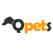 Modern Pet Care Essentials Every Pet Owner Needs Right Now– Qpets